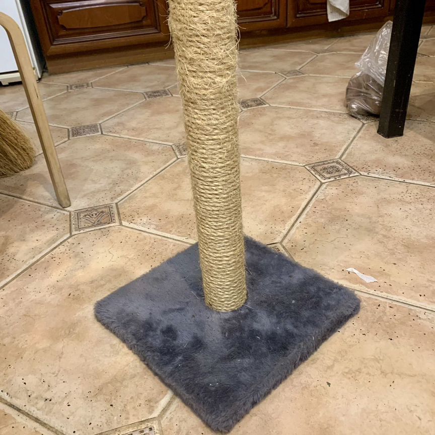 Когтеточка