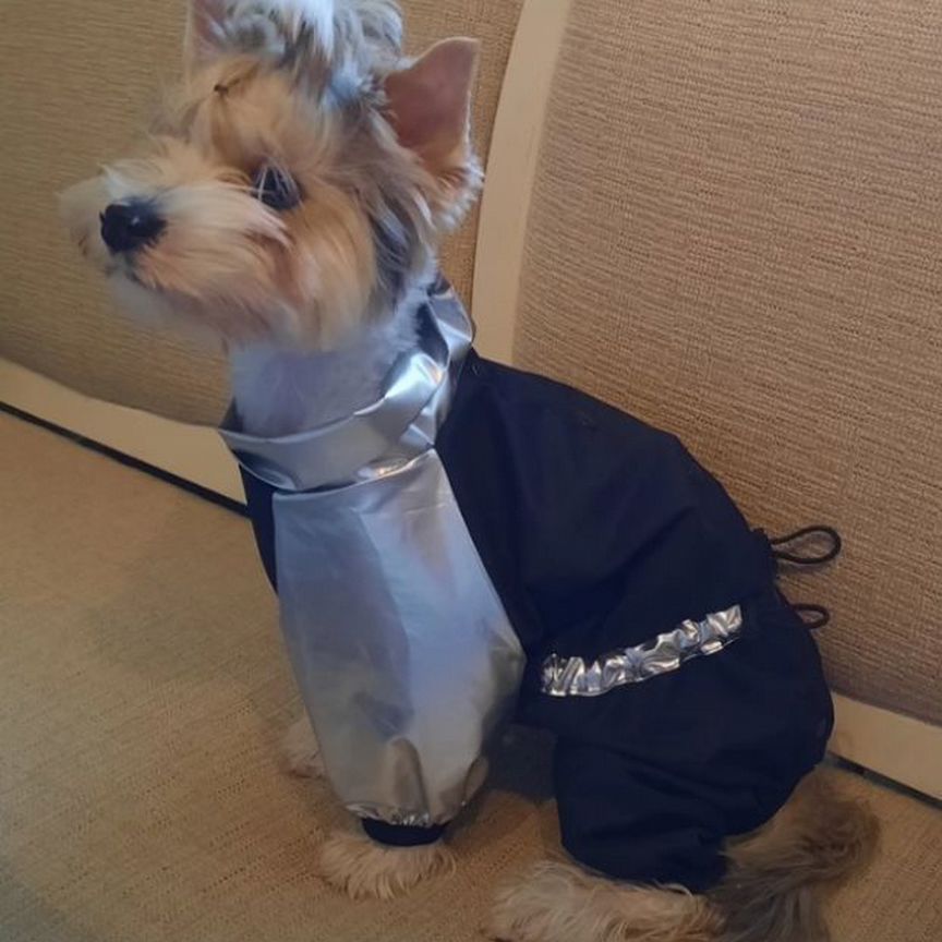 Комбинезон-дождевик для собак