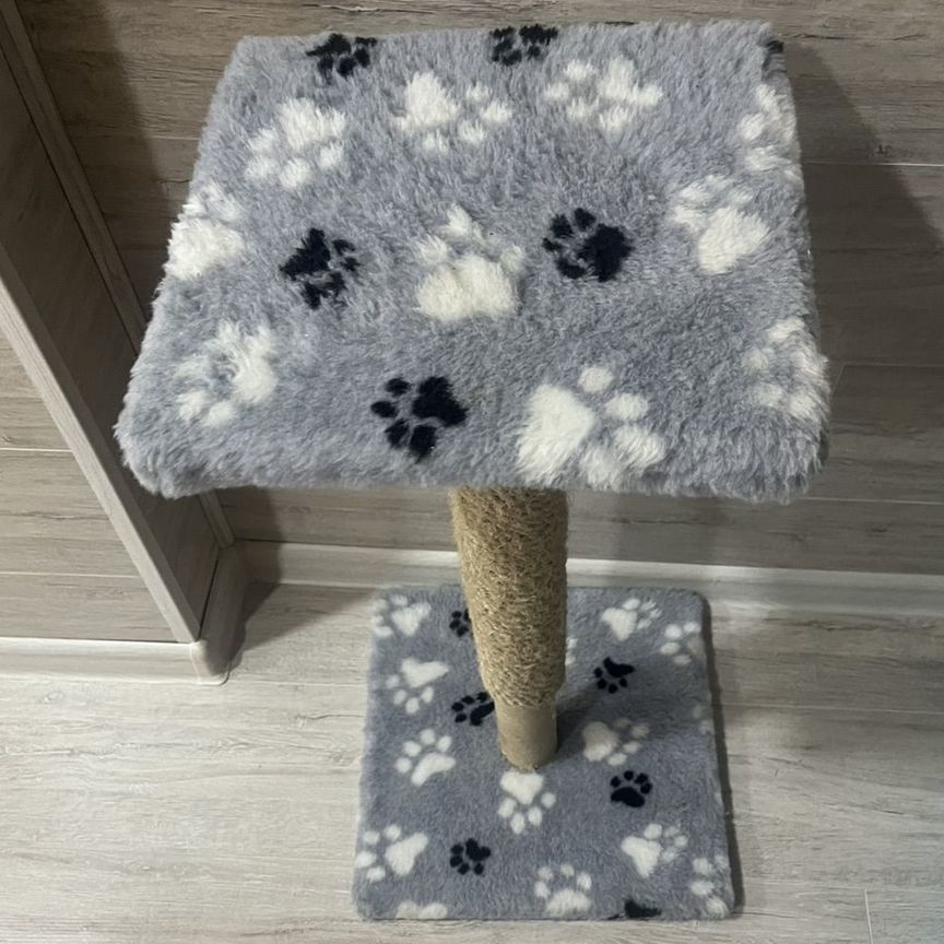 Принадлежности для кошек