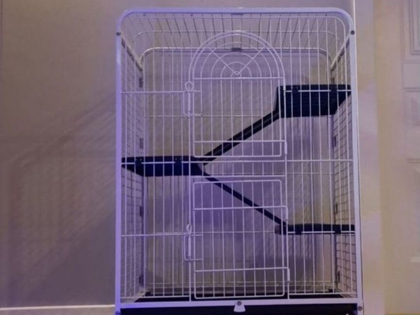 Клетка для крыс, крысы