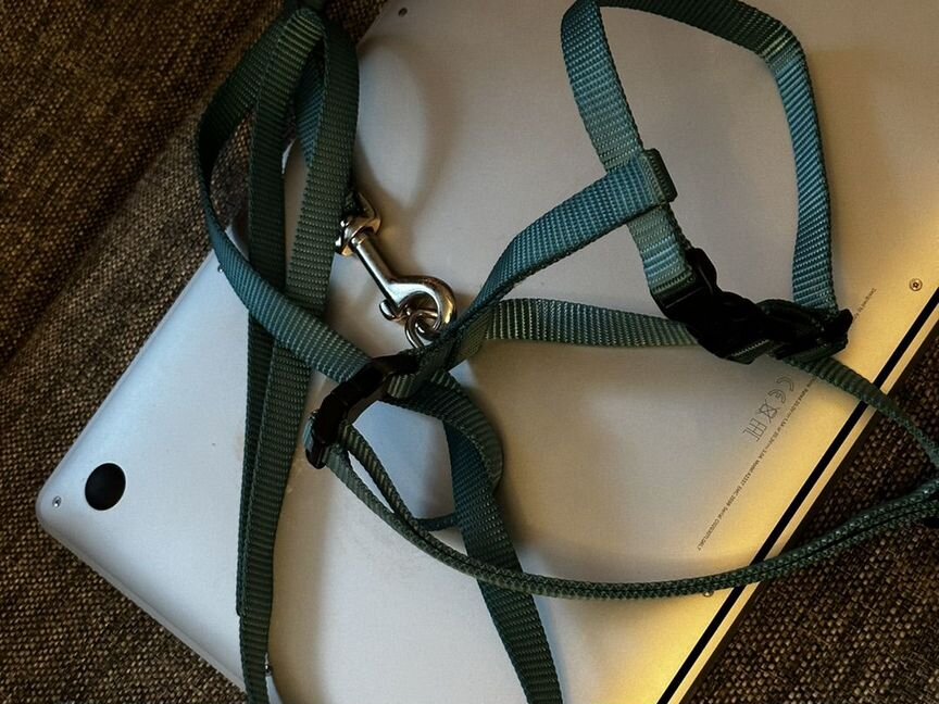 Шлейка для маленькой собаки