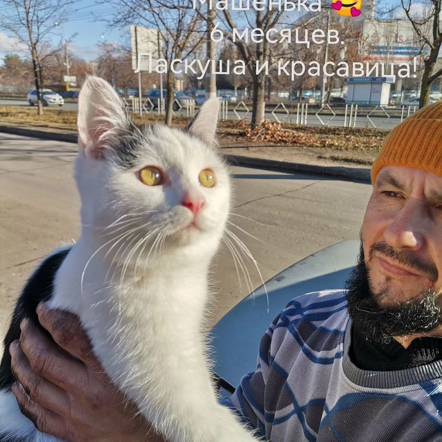 Кошечка