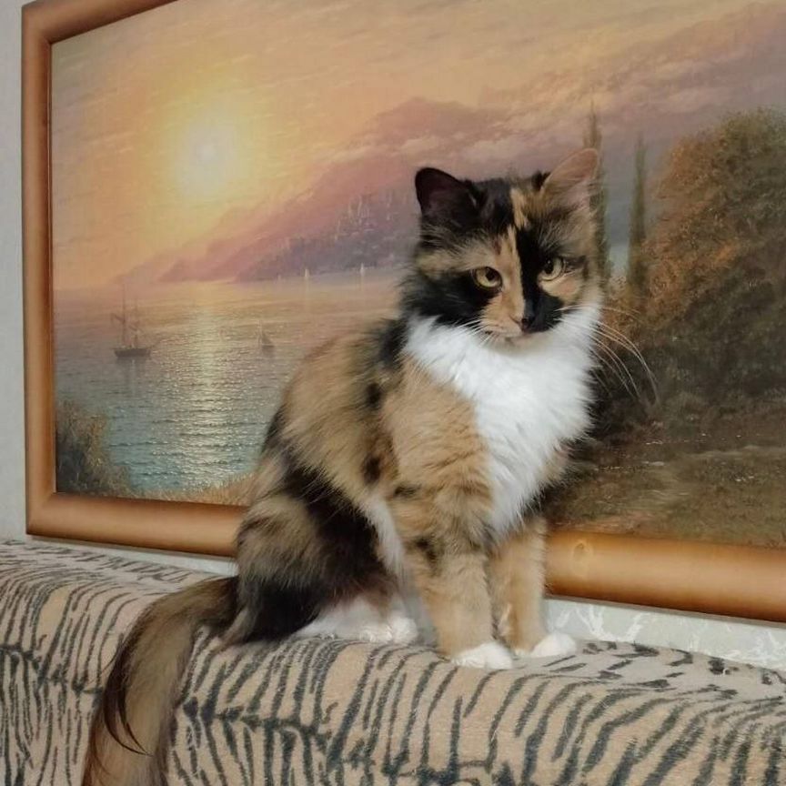 Невероятная Анфиса ждет вас