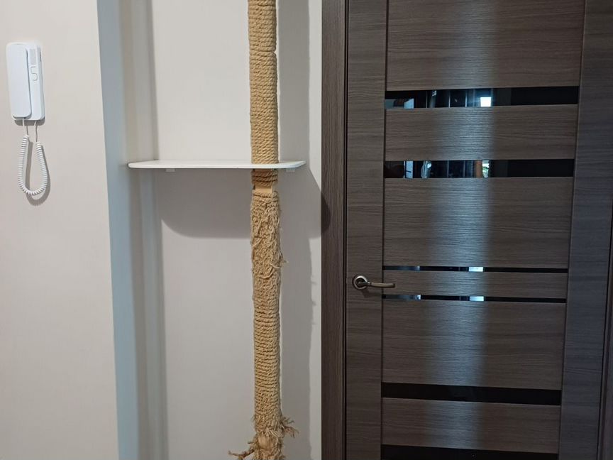 Лазилка для кошек