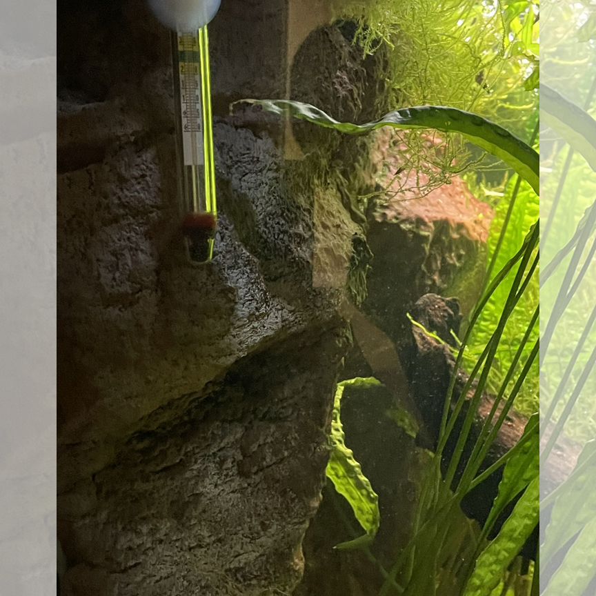 Аквариум с тумбой