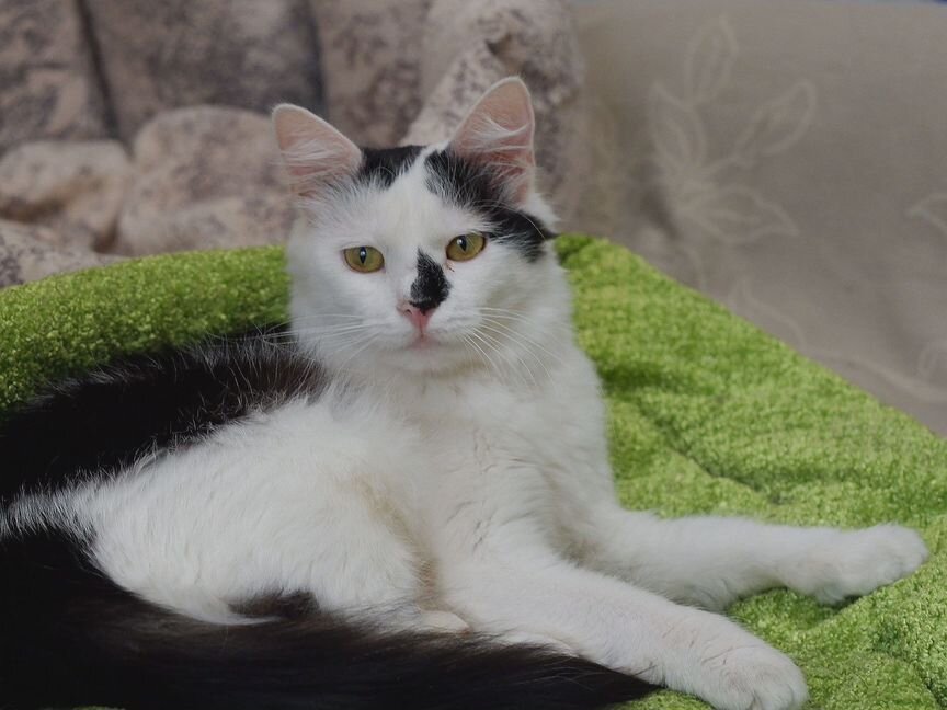 Делу - время, потехе - Веня