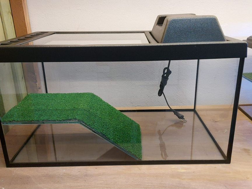 Террариумы и аквариумы в асс. рыбки растения