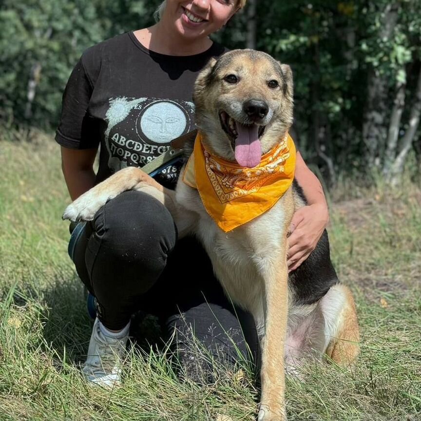 Яша, ищет дом. Он так в нем нуждается