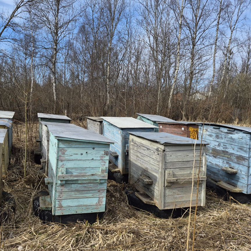 Ульи для пчел бу