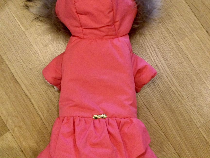 Комбинезон для маленькой собачки