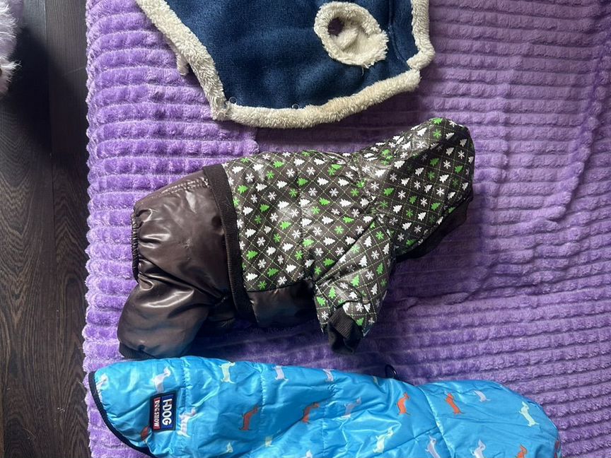 Одежда для маленькой собачки