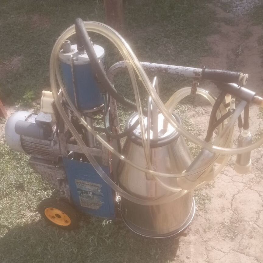 Доильный аппарат для коров