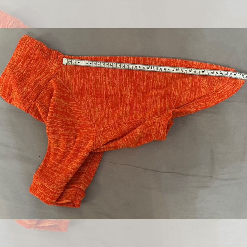 Одежда для уиппета