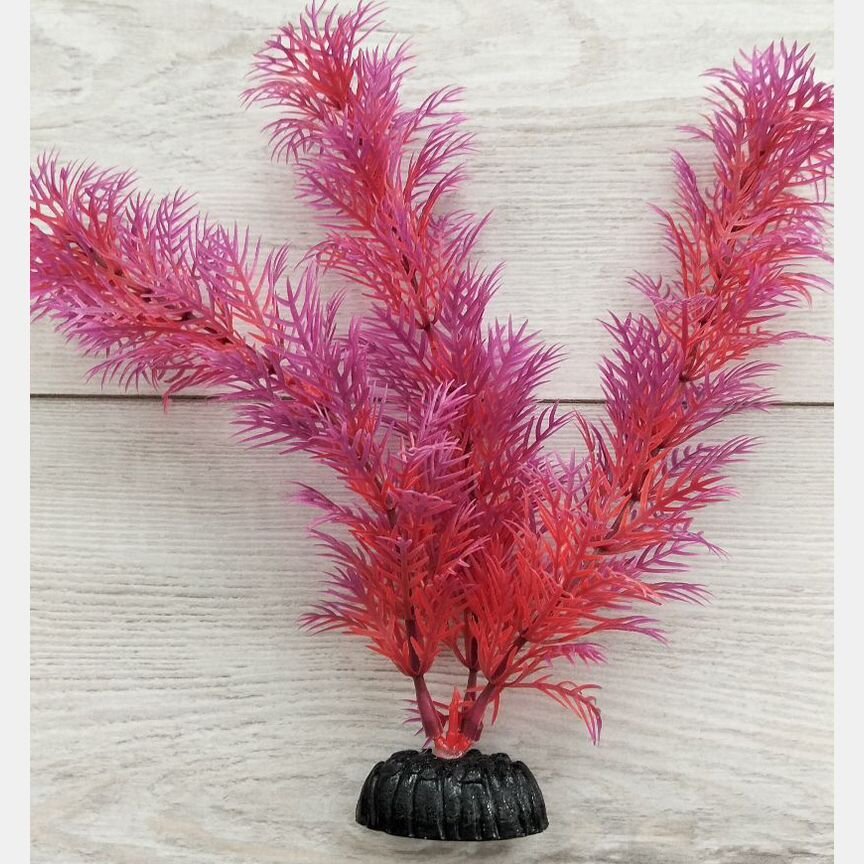 Трава для аквариума