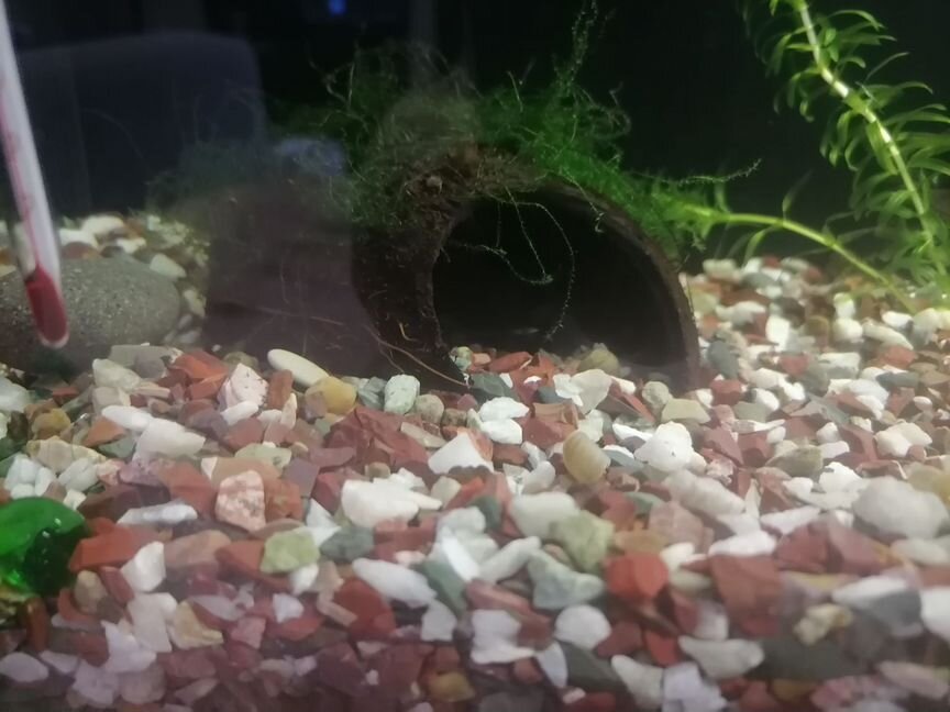 Декорации для аквариума