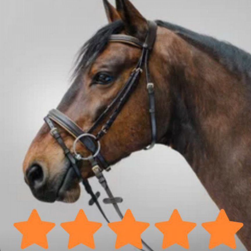 Конная амуниция