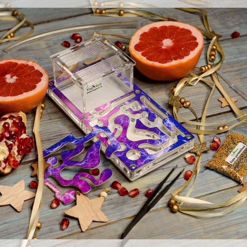 Формикарий/ Подарок для ребенка/ Муравьиная ферма