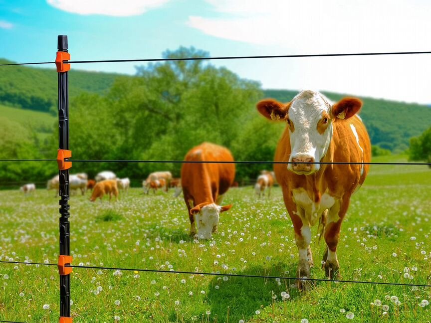 Электро-изгородь, пастух для животных