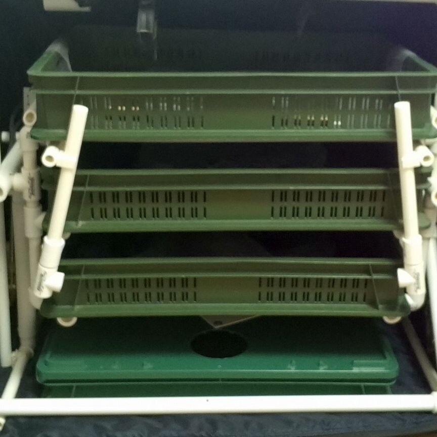 Инкубатор тгб 360