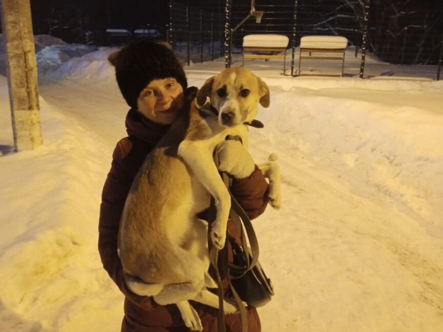 Мэгги ищет хозяина