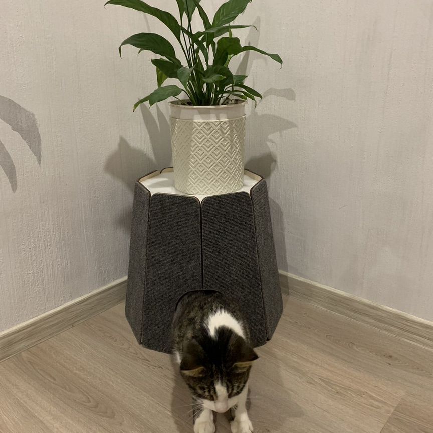 Кошачий домик