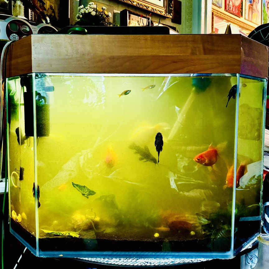 Аквариум 120 литров и фильтр грунт сачок