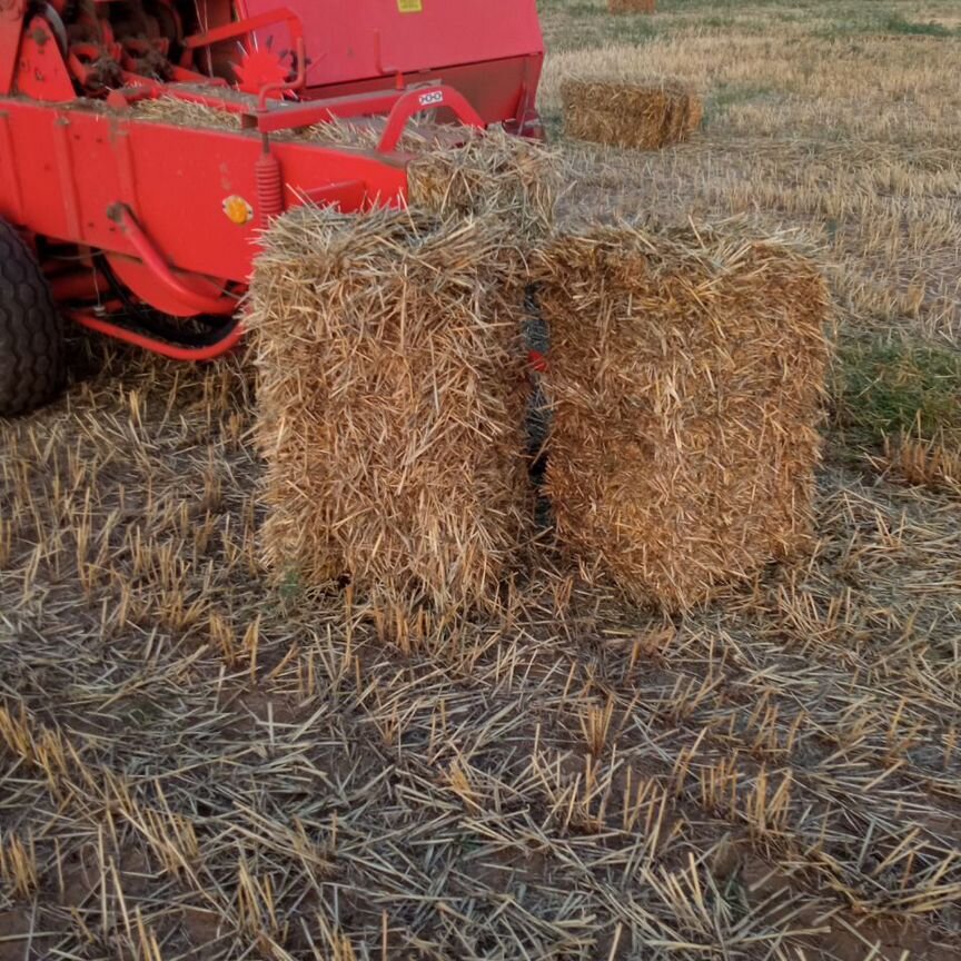 Солома в тюках