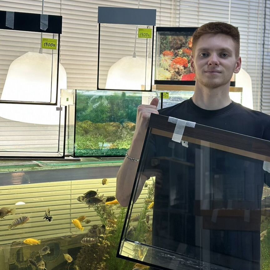 Аквариумные рыбки