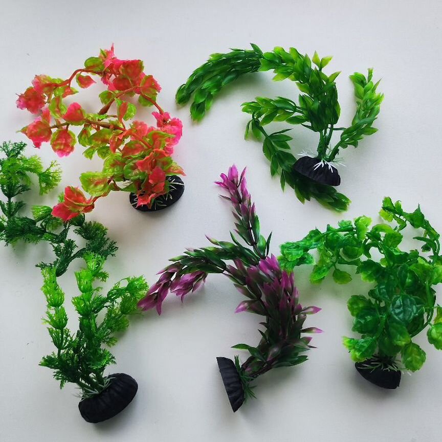 Растения для аквариума