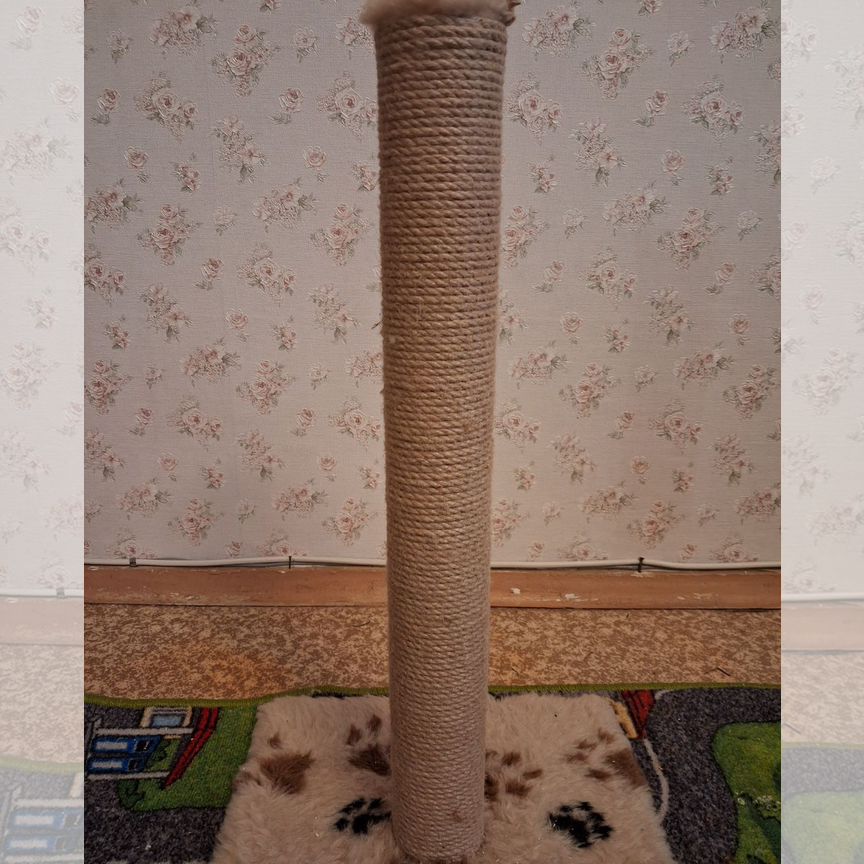 Когтеточка