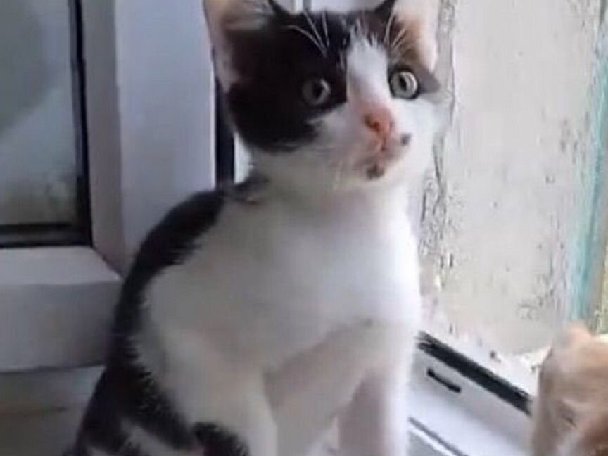 Бимка ждет тебя