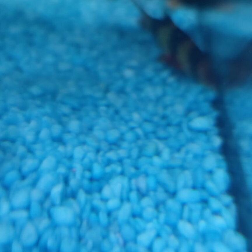 Сомики коридорасы и др