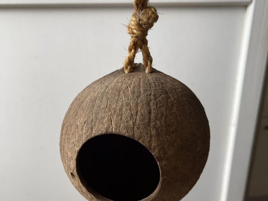 Гнездо кокос для птиц