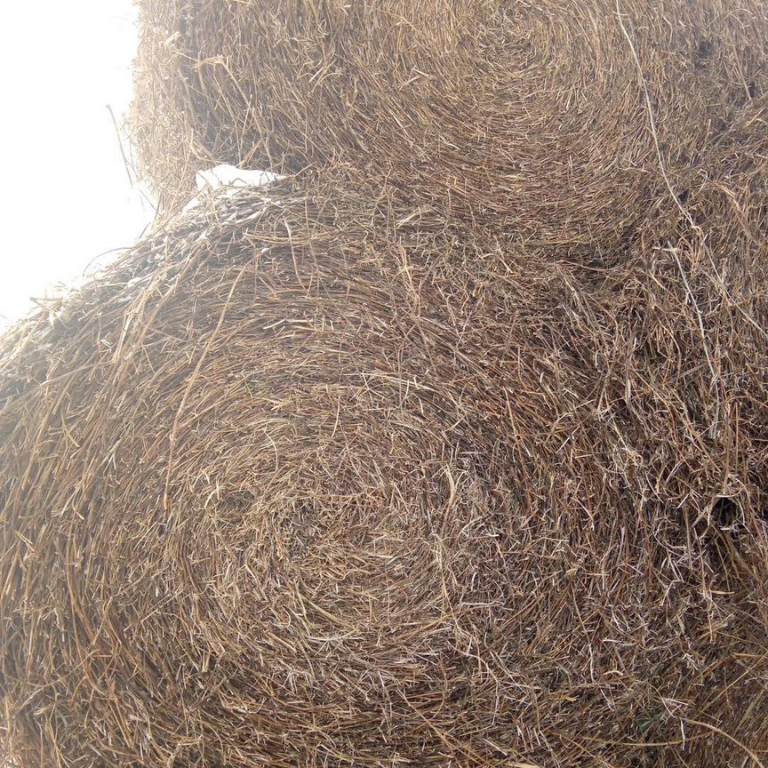 Продам сено в рулонах