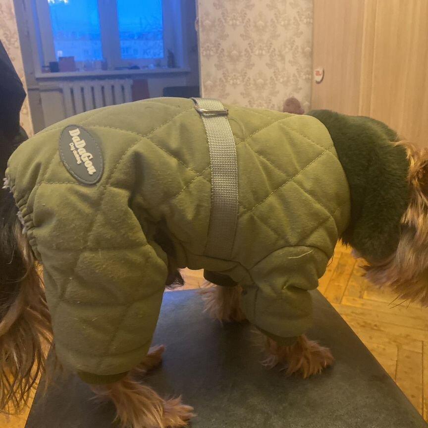 Теплый костюм для собак