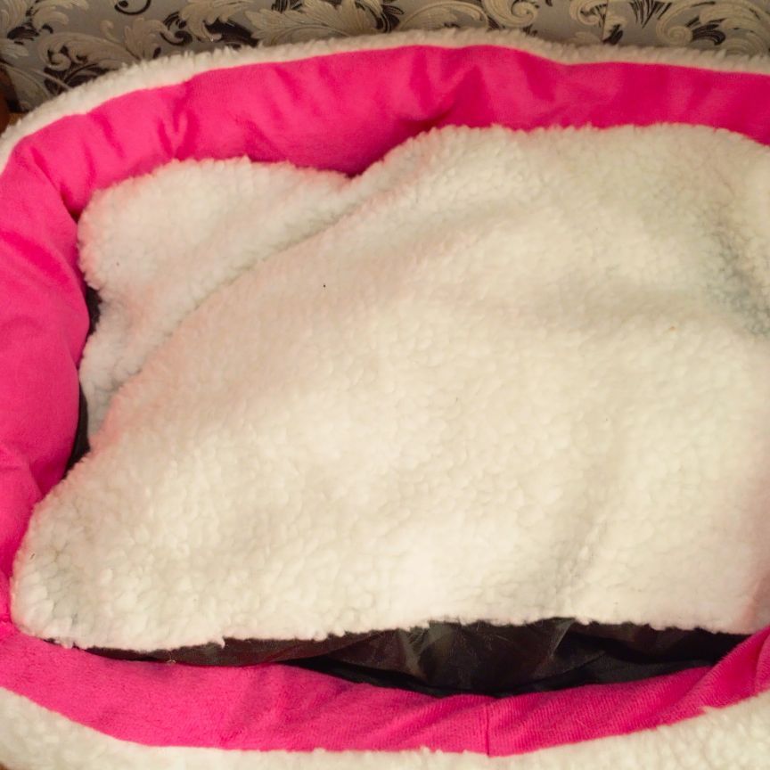 Лежанка для собак