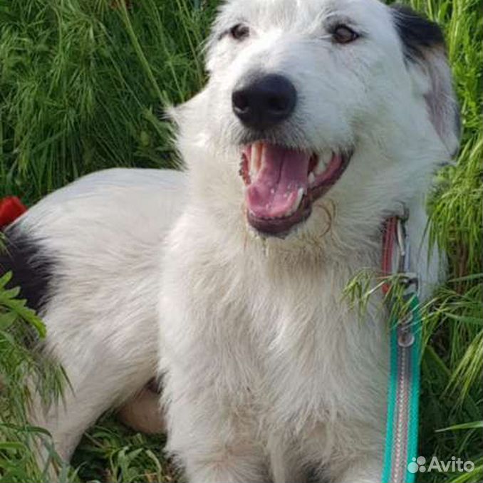 Стелла ждёт свою семью