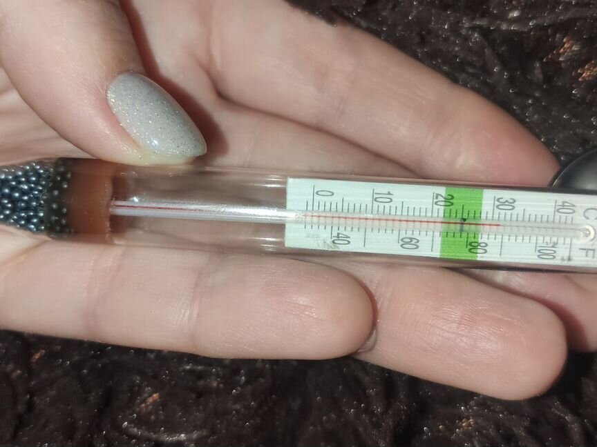 Градусник / термометр в аквариум