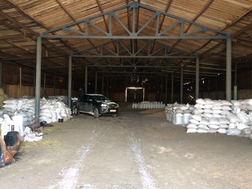 Пшеница, овес, ячмень по 10