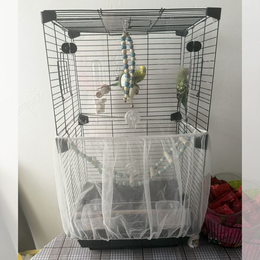 Волнистые попугаи с клеткой