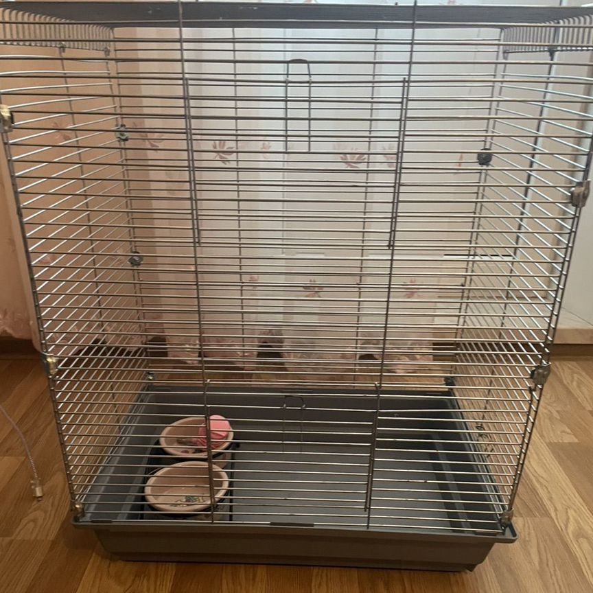 Клетка для грызунов бу