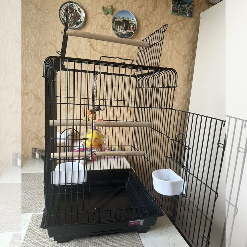 Большая клетка для попугай