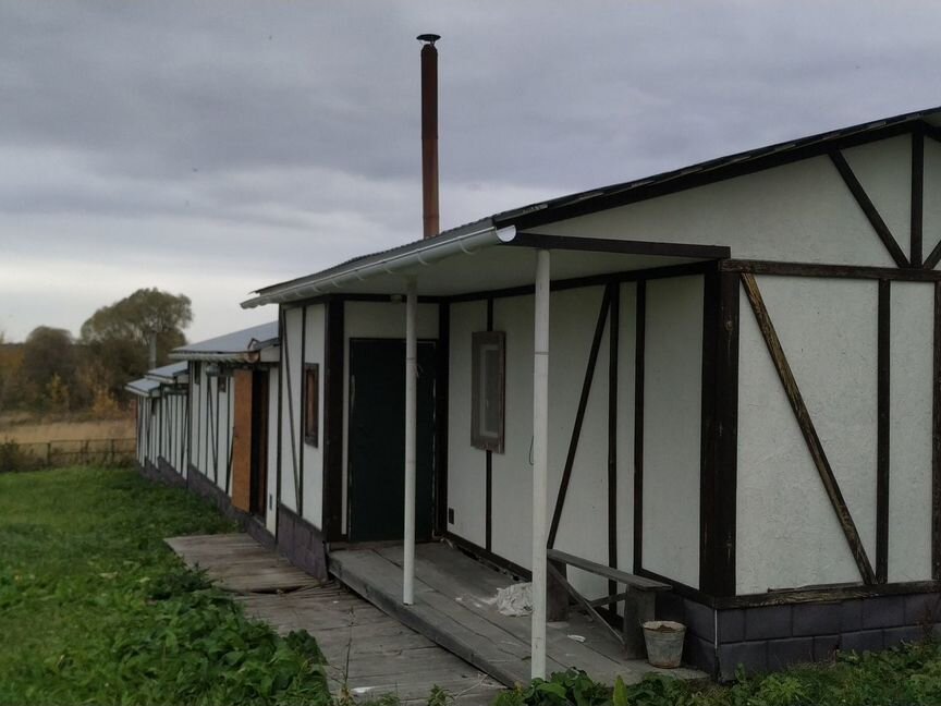 Шиншилловая ферма