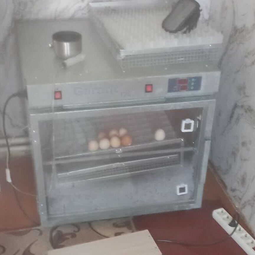 Инкубатор для яиц автоматический