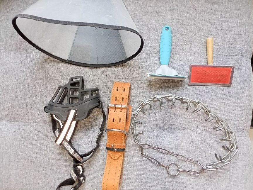 Собачьи принадлежности