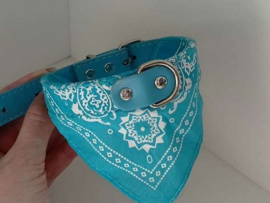 Ошейник бандана