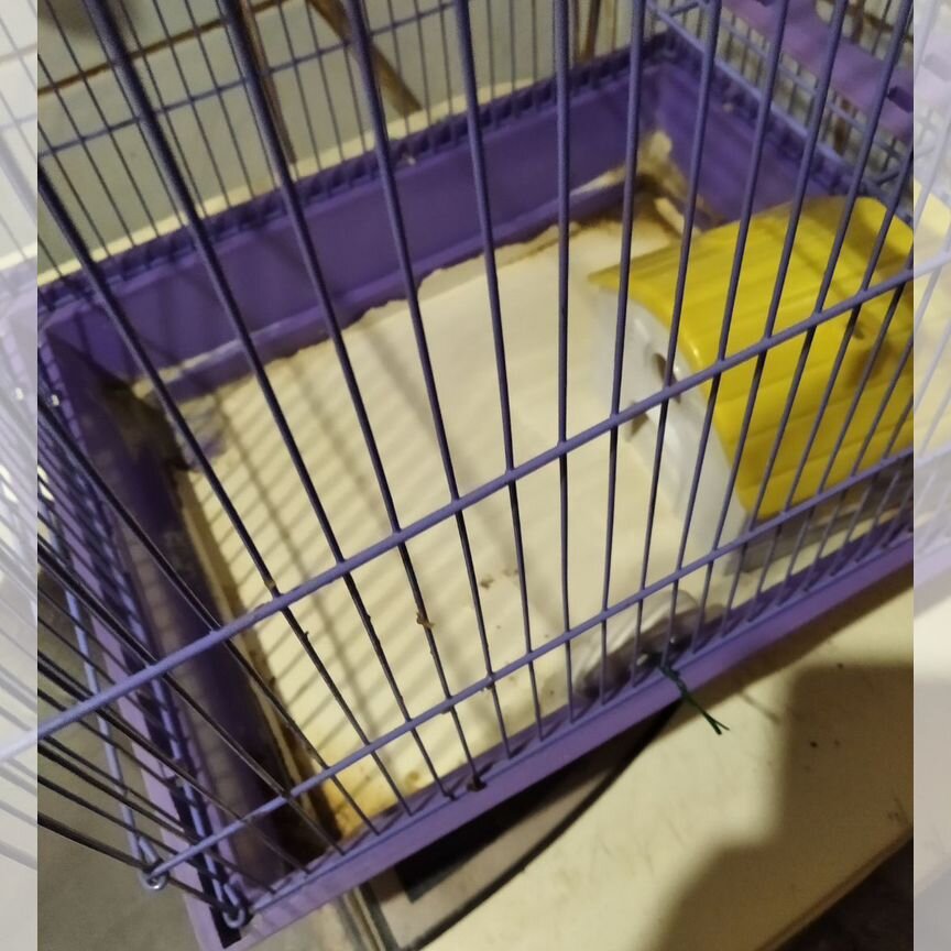 Клетка для грызунов