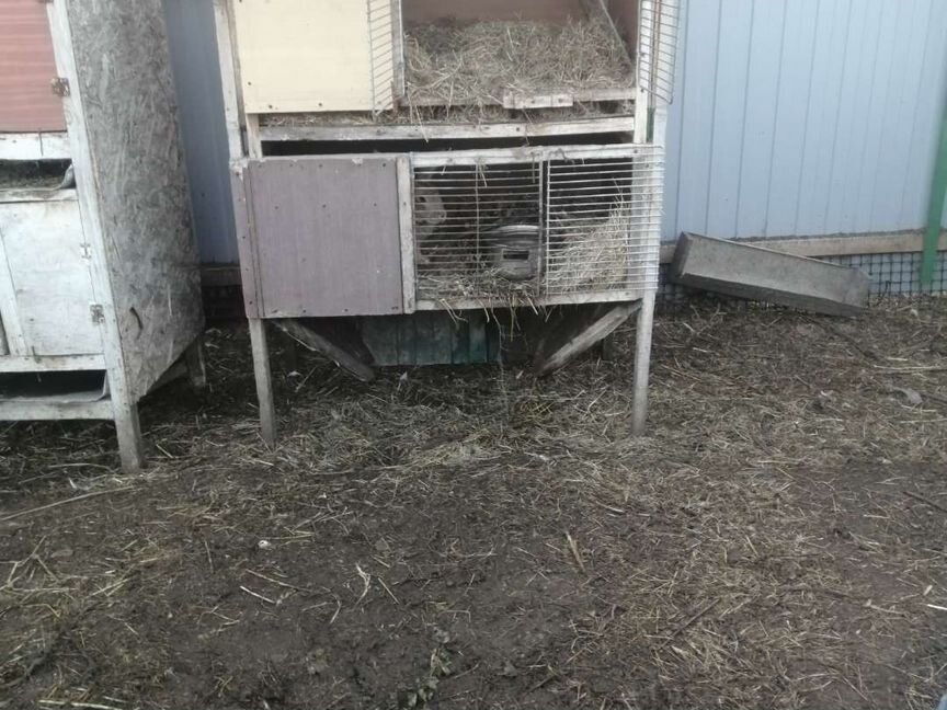 Клетка для кролика