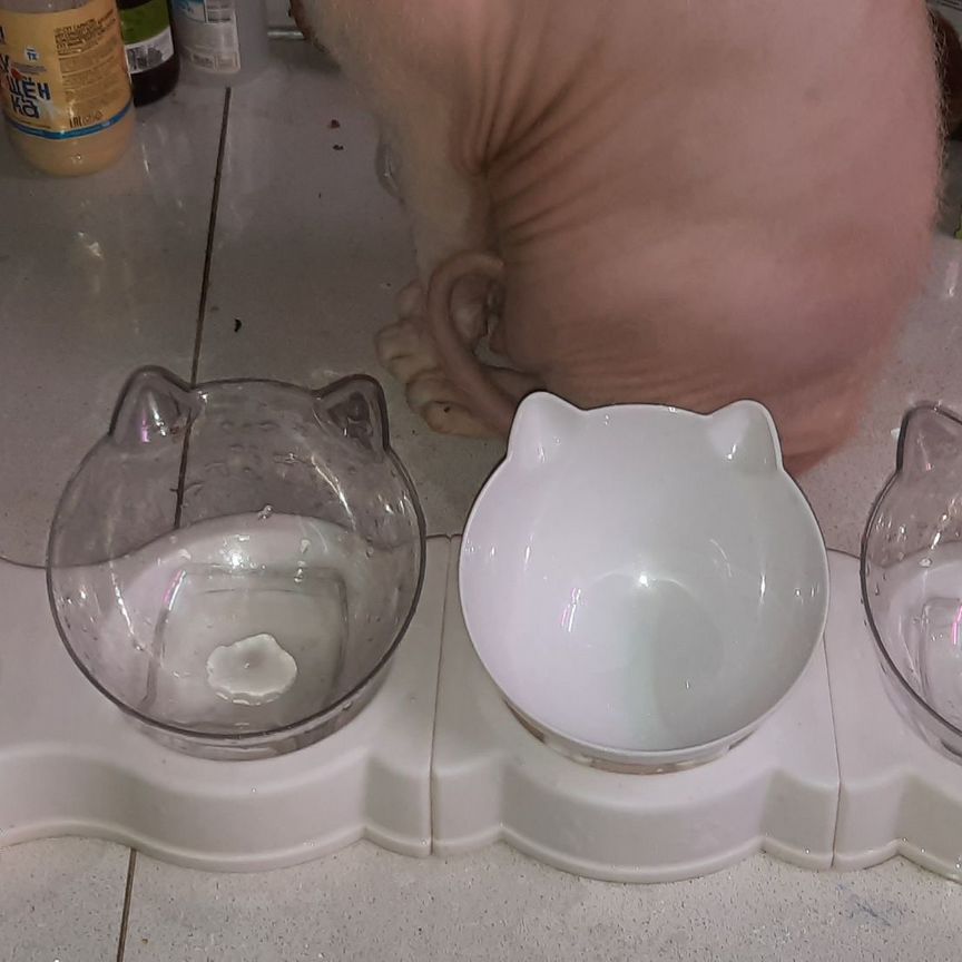 Кормушка для кошек тройная с поилкой