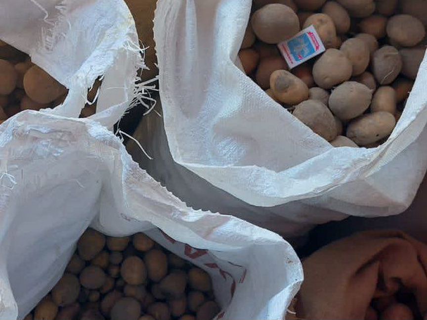 Картофель домашний мелкий